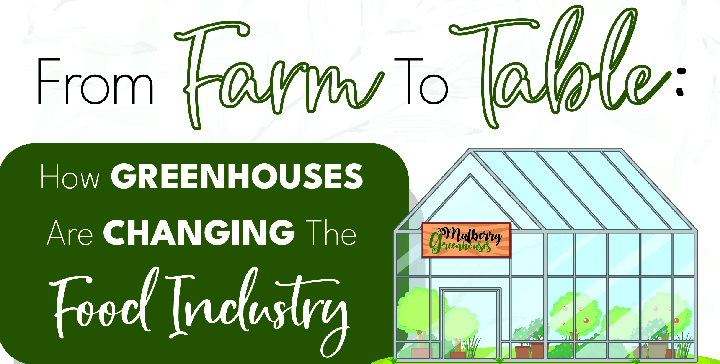 From Farm to Table: How Greenhouses are Changing the Food Industry ...