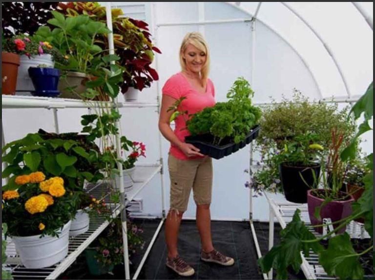 Go Green—5 Reasons to Start Gardening Right Away | Gardening ...